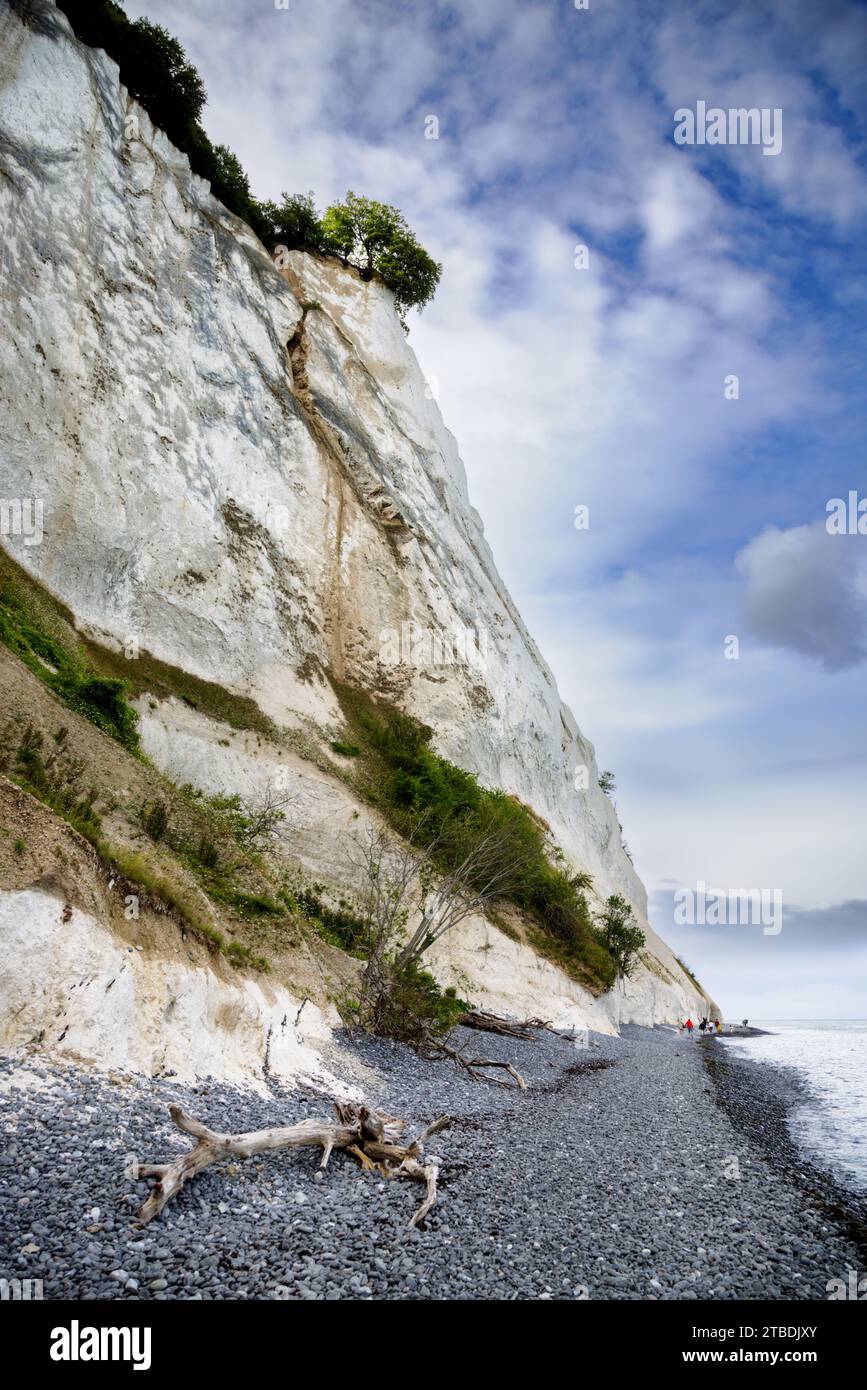 Mons Klint, a cliff coast on the island Mon in the baltic sea, Denmark ...