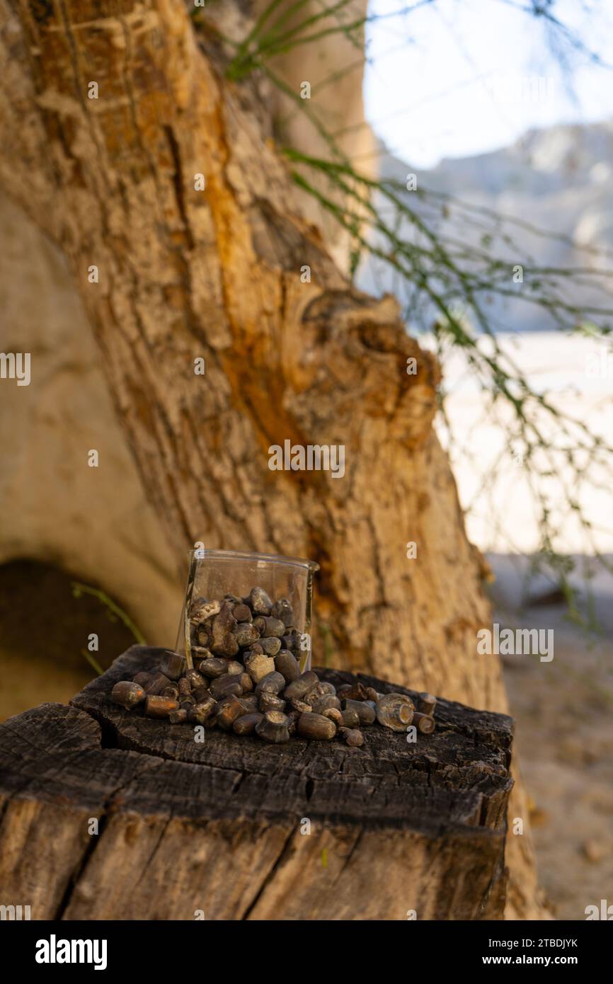 Fired bullet hi-res stock photography and images - Alamy