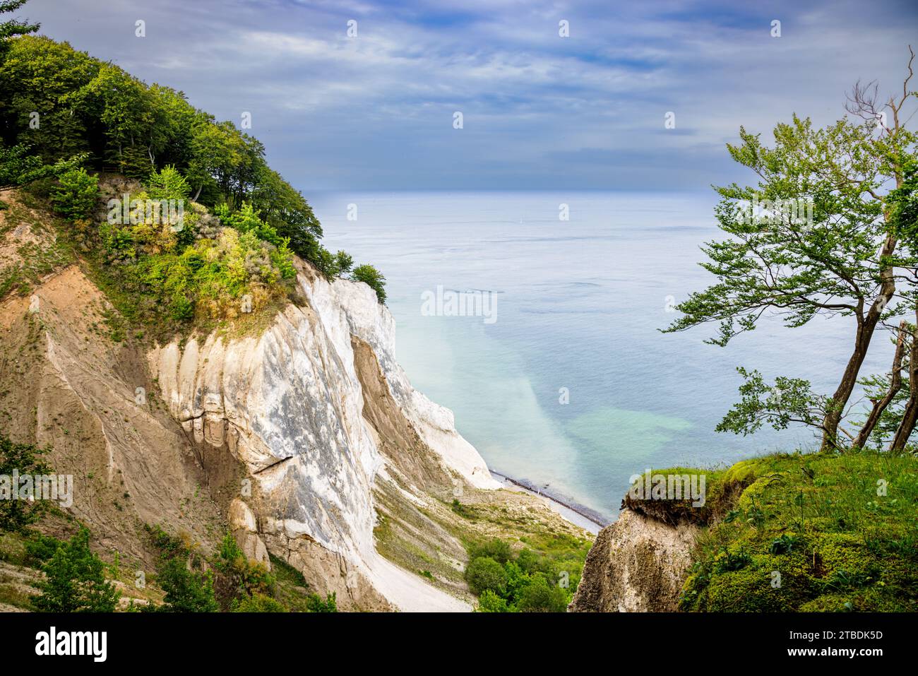 Mons Klint, a cliff coast on the island Mon in the baltic sea, Denmark ...