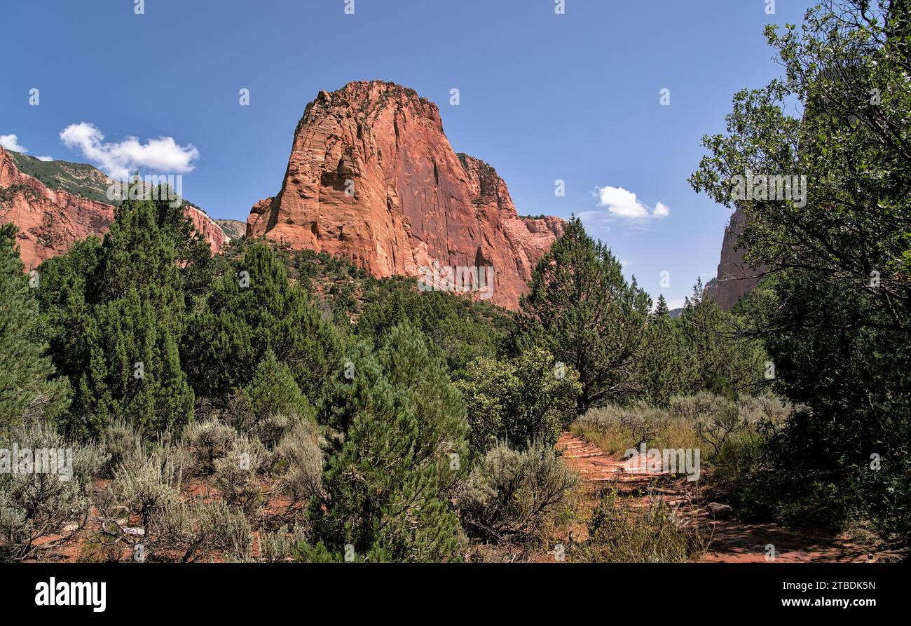 Zion National Park (UT, USA Stock Photo - Alamy