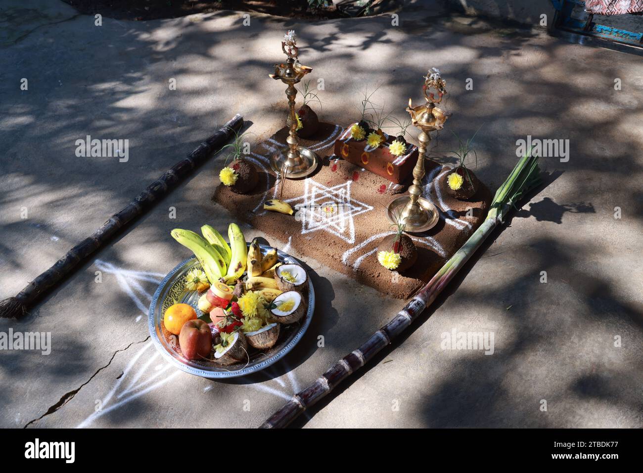 Traditional Thai Pongal festival celebration to sun god with sakkara or ...