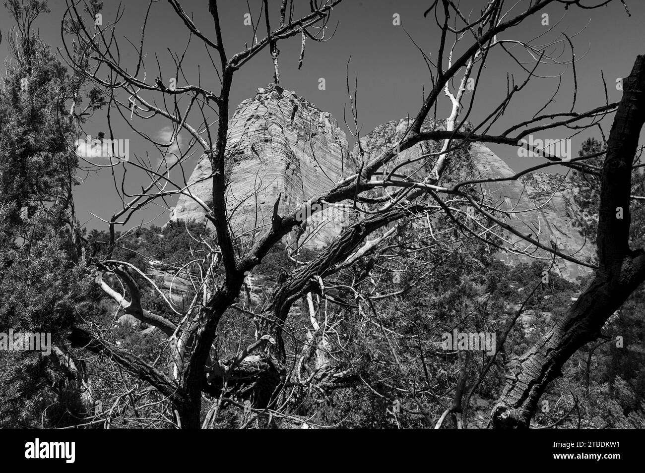 National desert Black and White Stock Photos & Images - Alamy