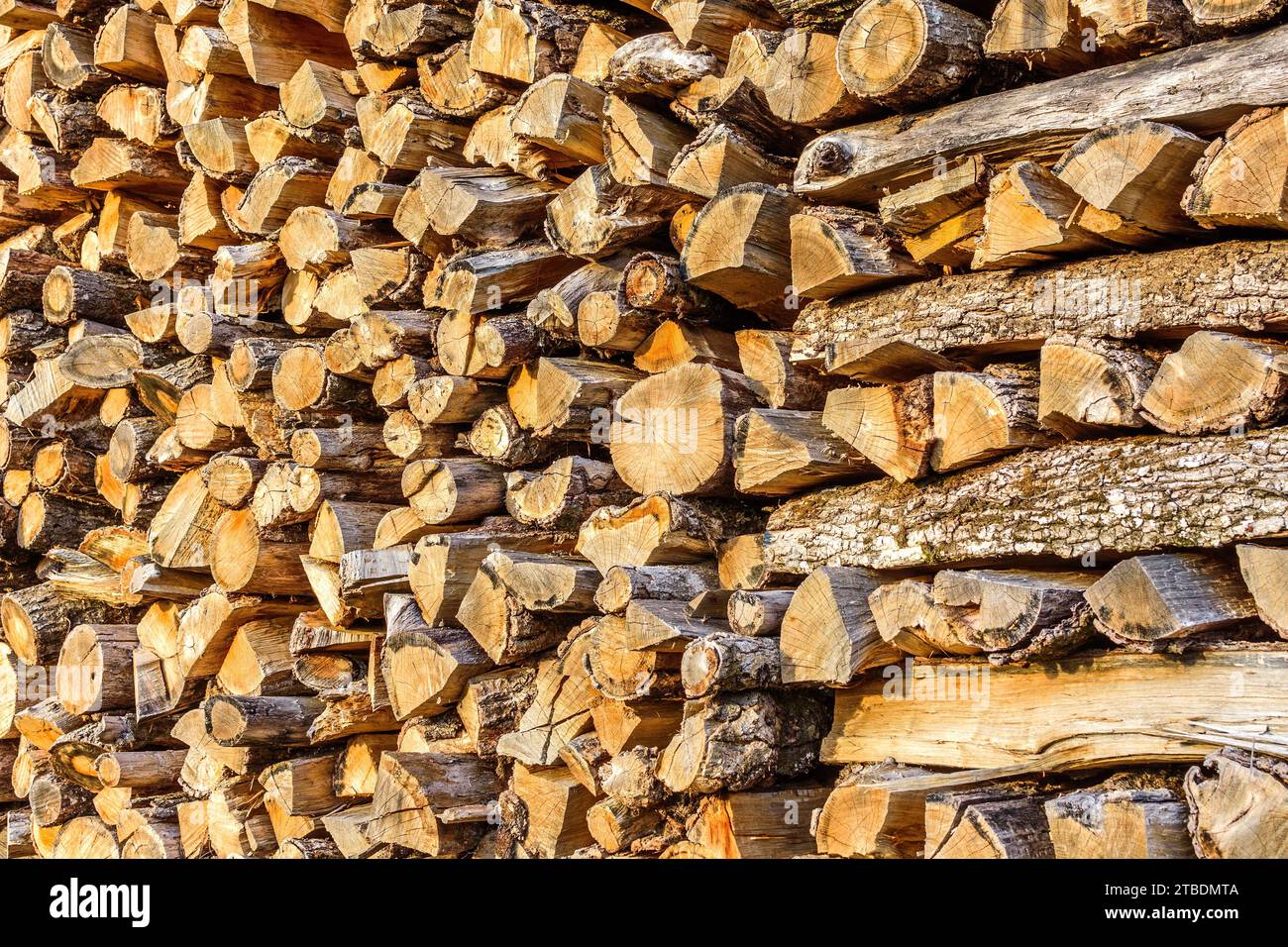 Large stack of Oak branches and split logs for domestic fuel - sud ...