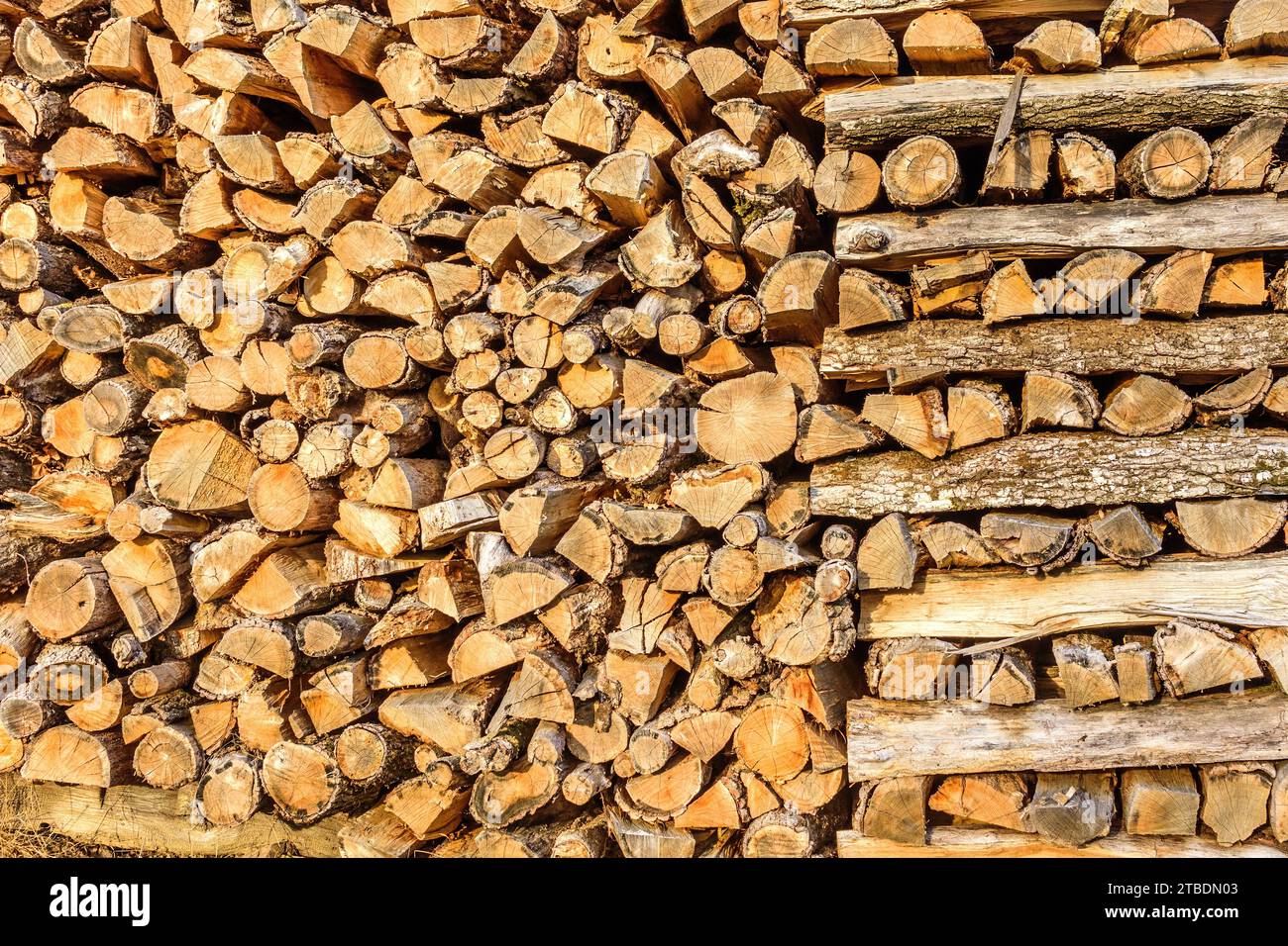 Large stack of Oak branches and split logs for domestic fuel - sud ...