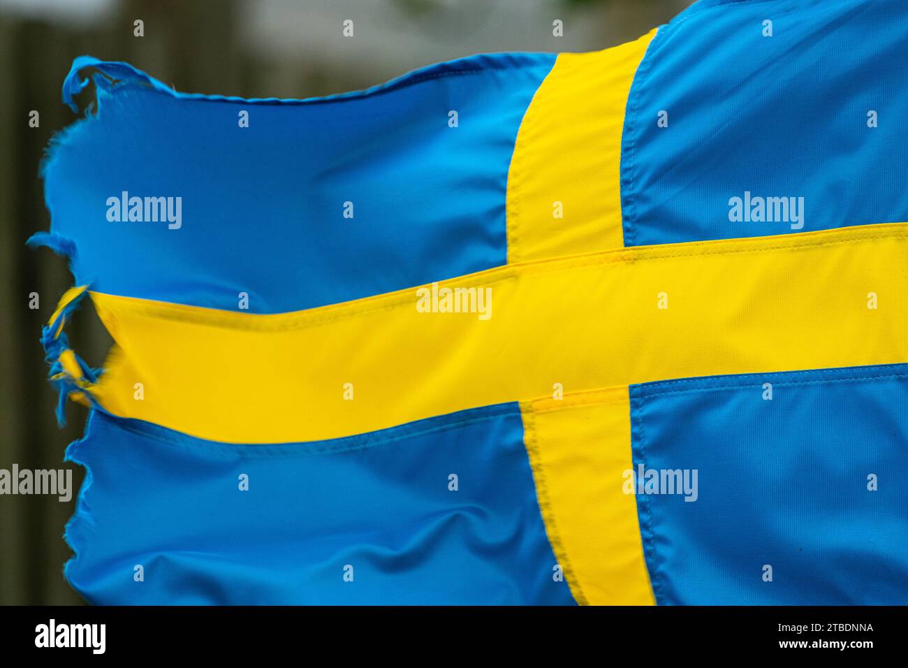 Swedish flag in sports hi-res stock photography and images - Alamy