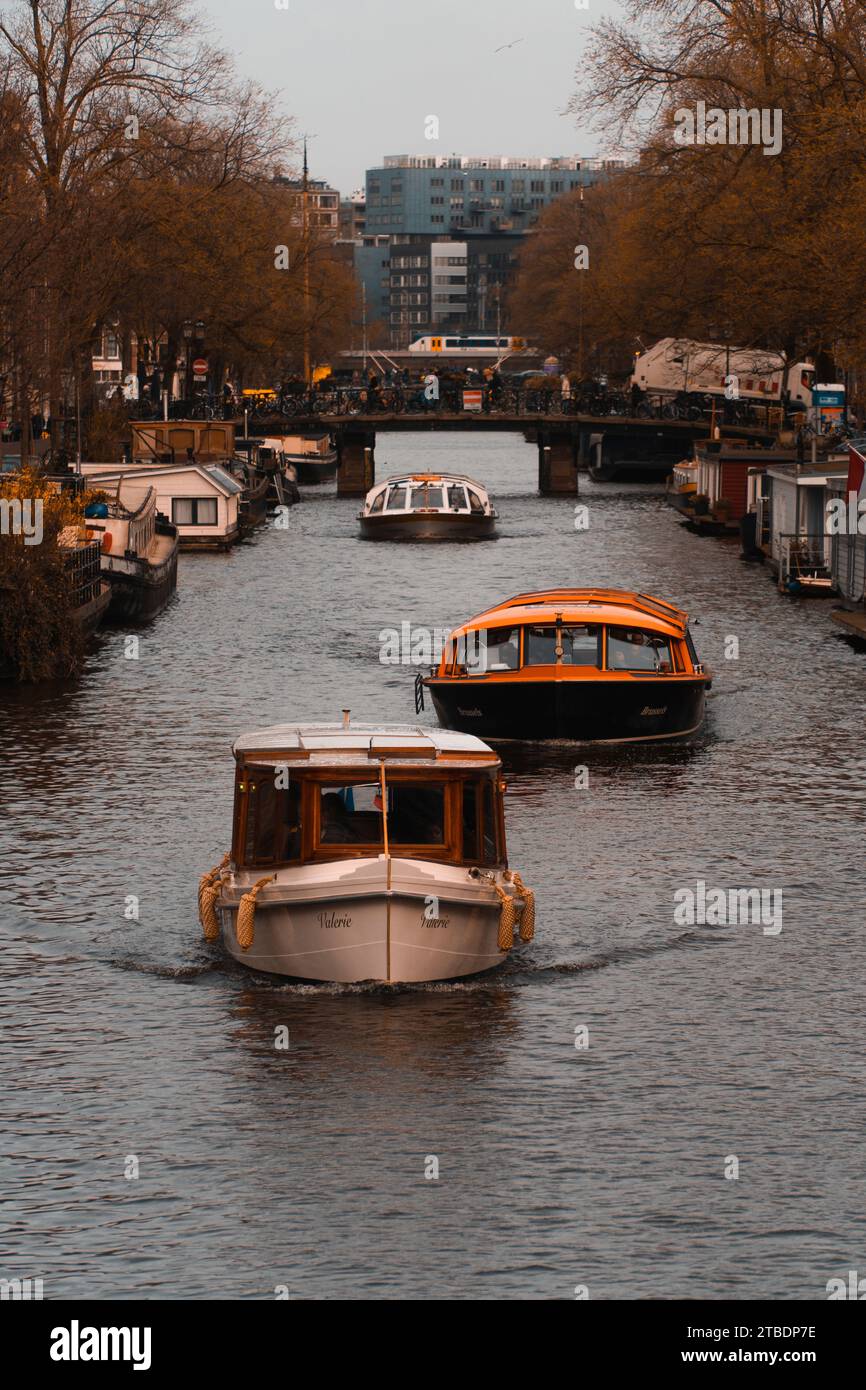 An aerial view of a canal in the city, surrounded by tall trees and ...