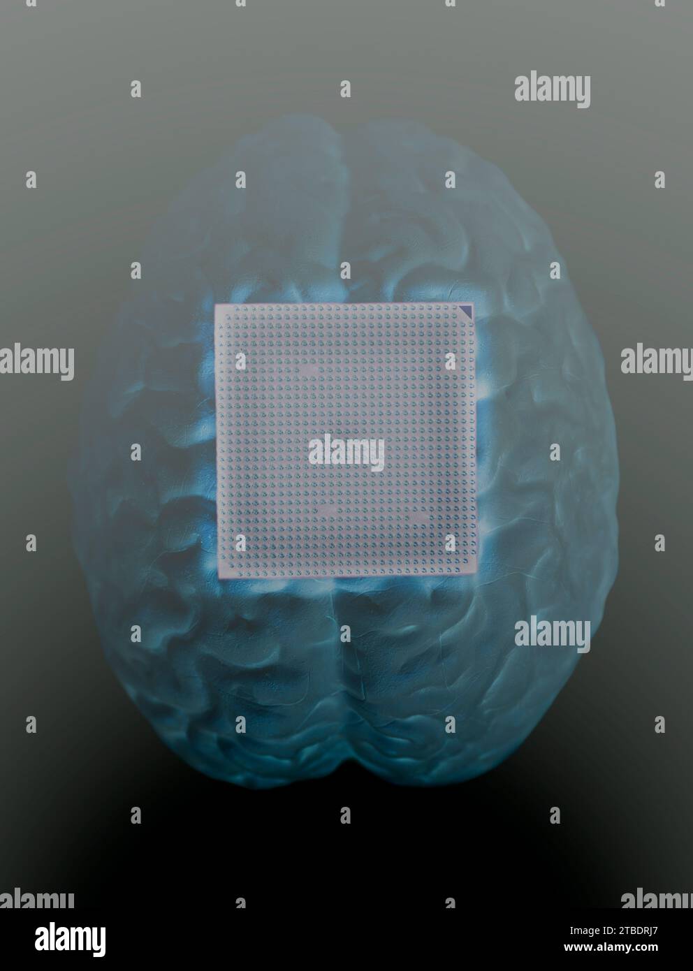 Human brain anatomical model with CPU processor microchip Stock Photo ...