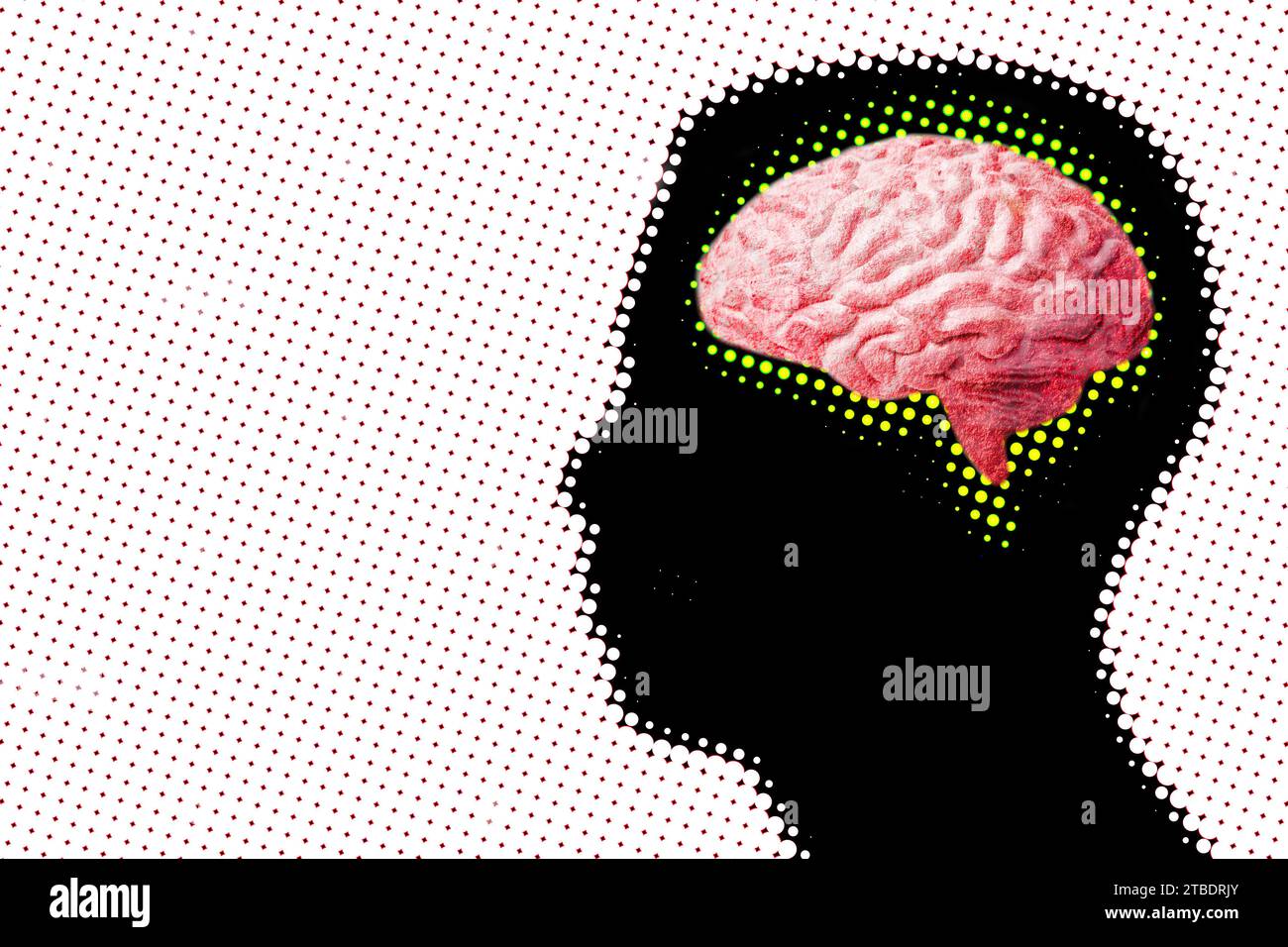 Medical acupuncture model of human with brain anatomical model Stock ...