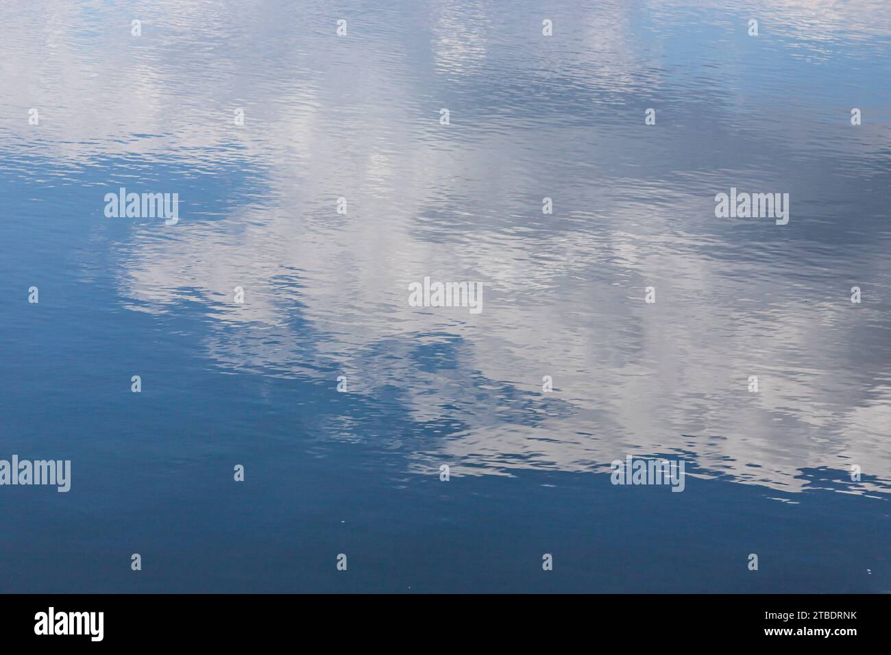 Calm water surface. Summer evening near a forest lake, the surface of ...