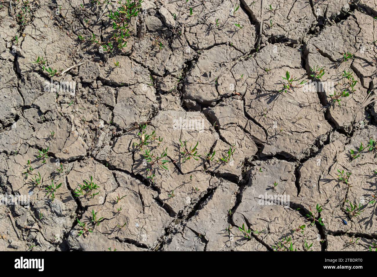 Wall texture soil dry crack pattern of drought lack of water of nature ...