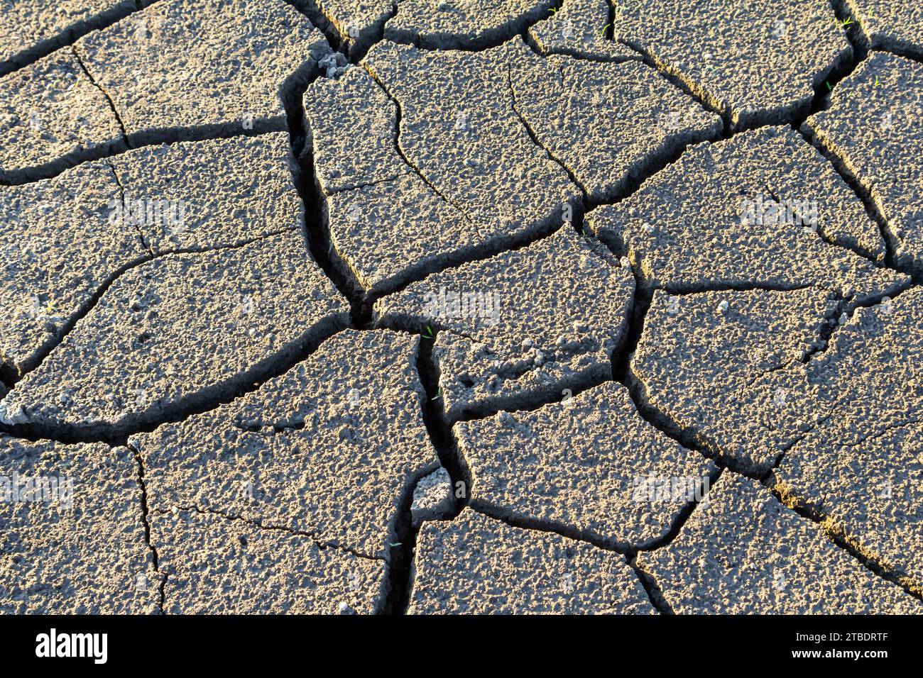 Wall texture soil dry crack pattern of drought lack of water of nature ...