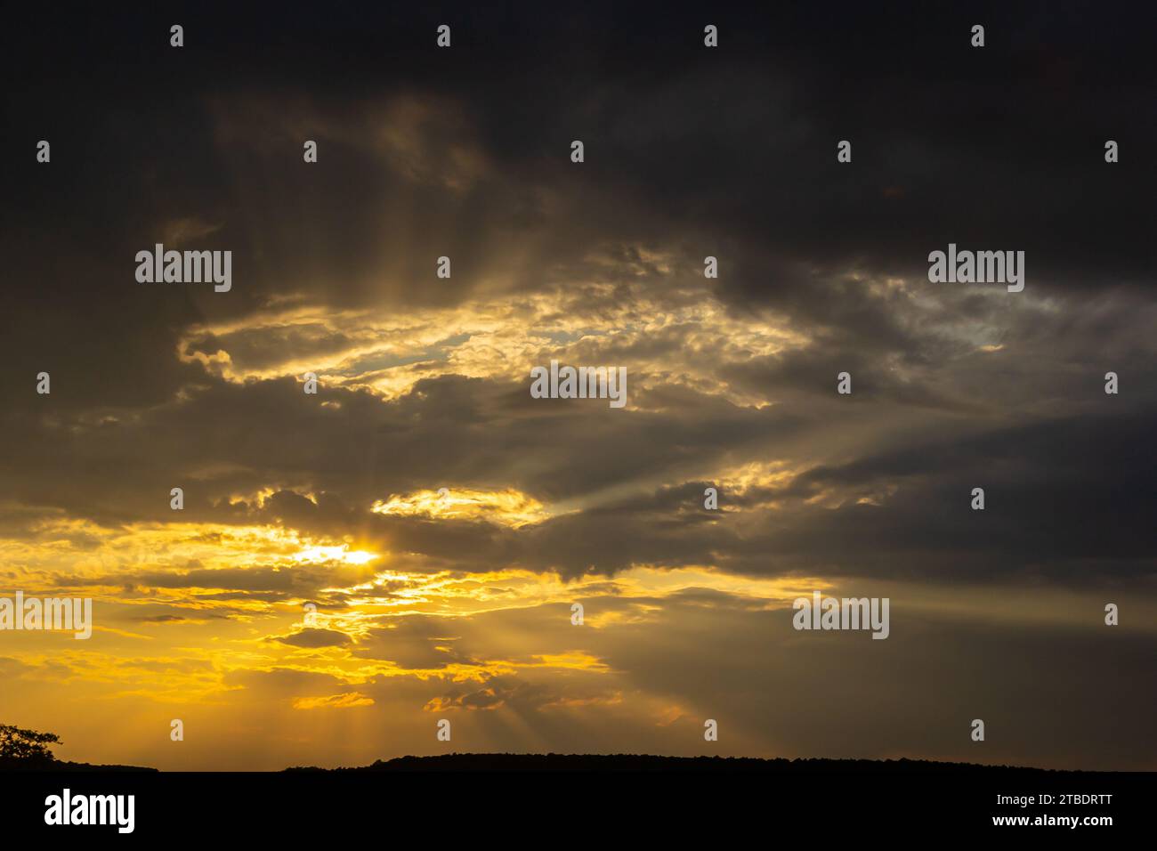 Horizon panorama and dramatic twilight sky and cloud sunset background ...