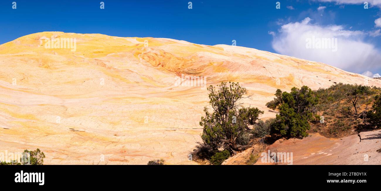 Panoramic photograph of the Yellow Rock area, a sandstone hill that's ...
