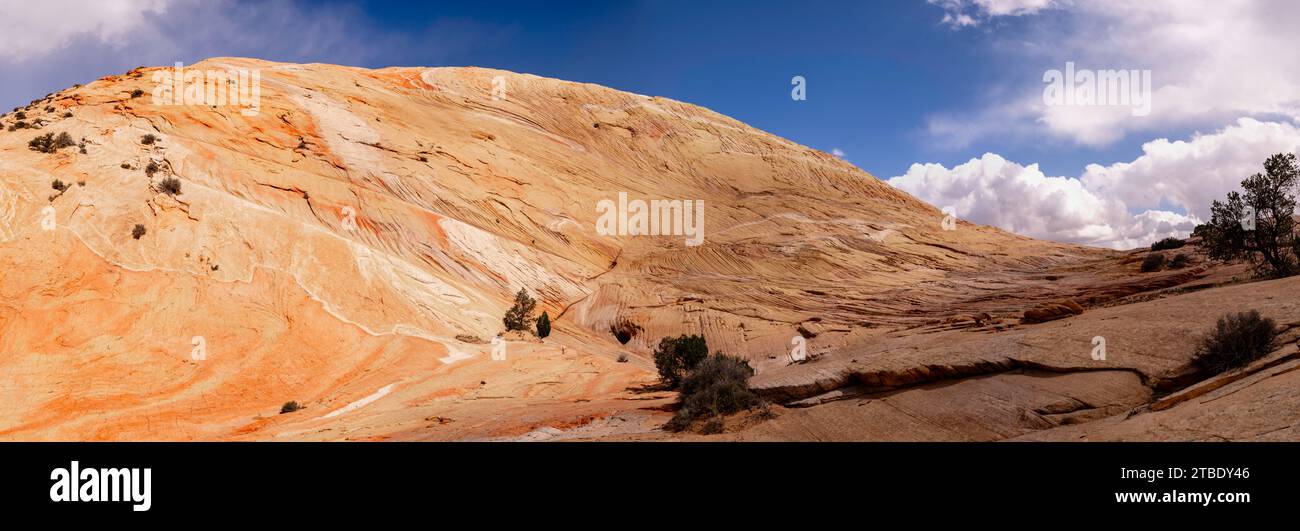 Panoramic photograph of the Yellow Rock area, a sandstone hill that's ...