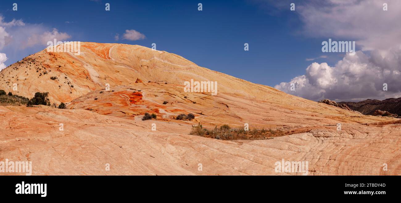 Panoramic photograph of the Yellow Rock area, a sandstone hill that's ...