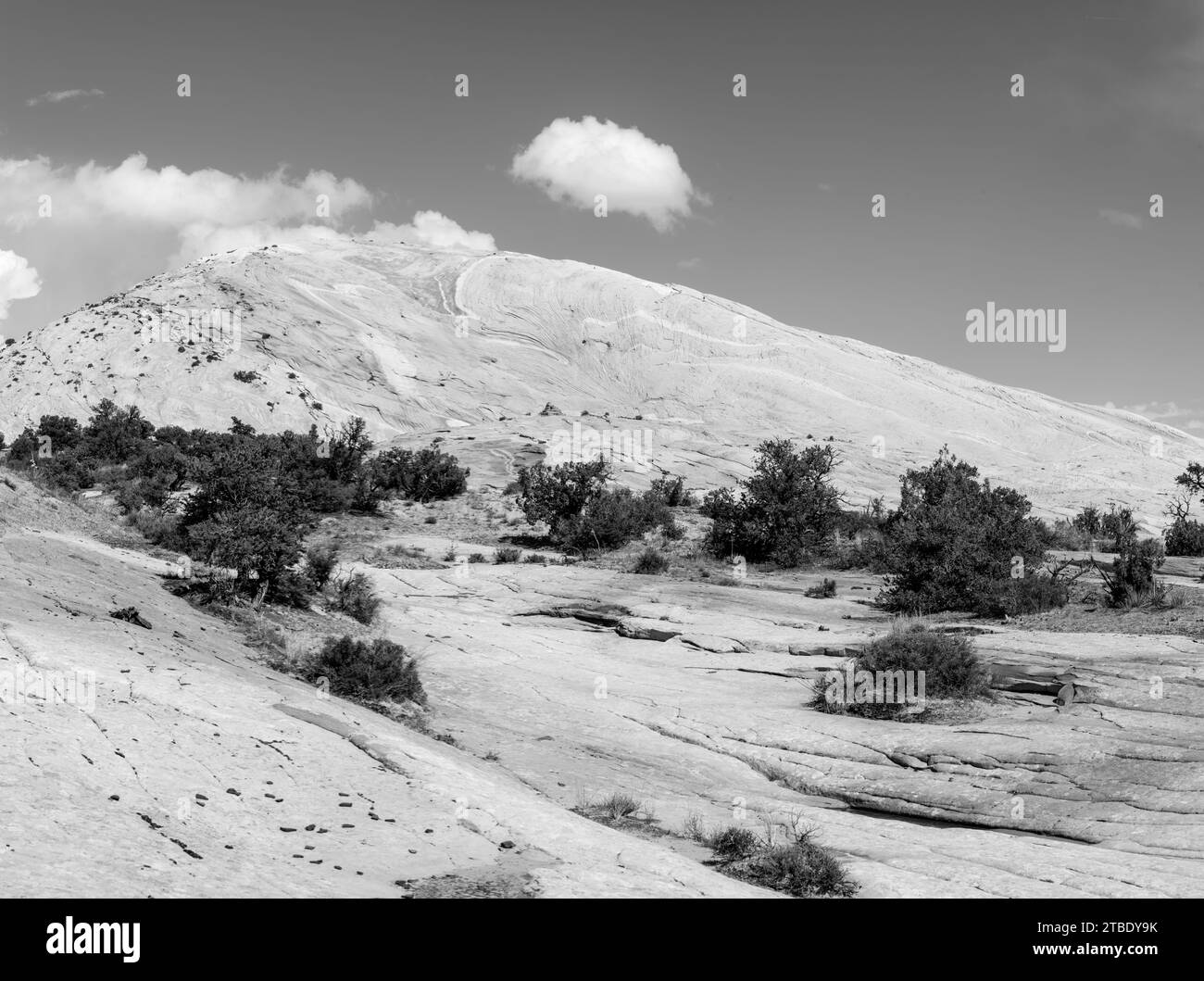 Photograph of the Yellow Rock area, a sandstone hill that's mostly ...