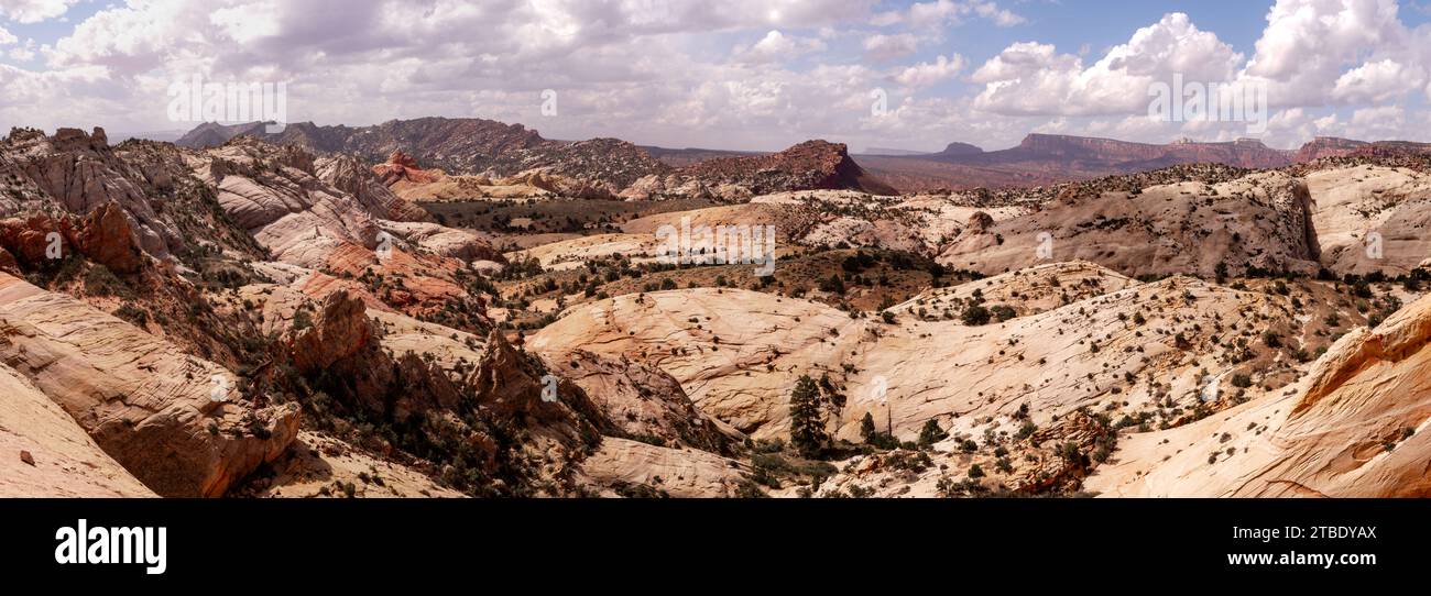 Panoramic photograph of the Yellow Rock area, a sandstone hill that's ...