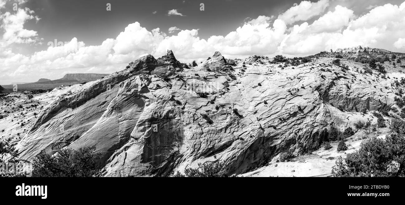 Panoramic photograph of the Yellow Rock area, a sandstone hill that's ...