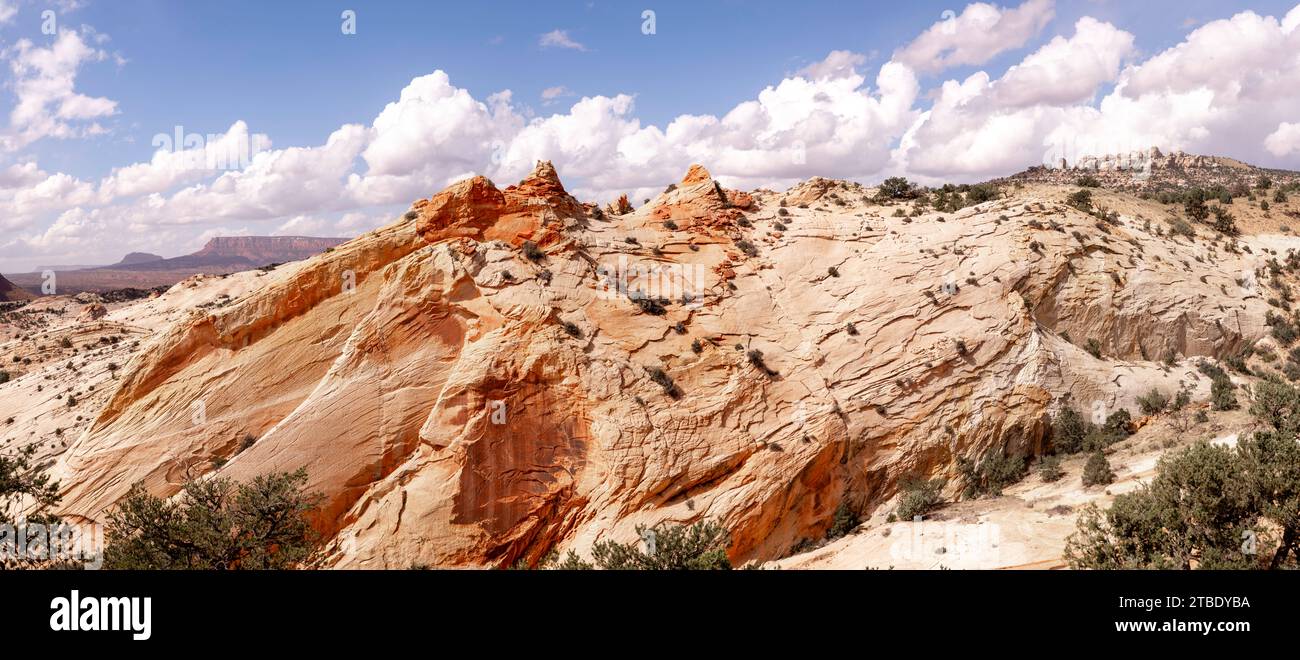 Panoramic photograph of the Yellow Rock area, a sandstone hill that's ...