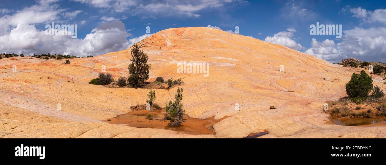 Grand staircase esca hi-res stock photography and images - Alamy