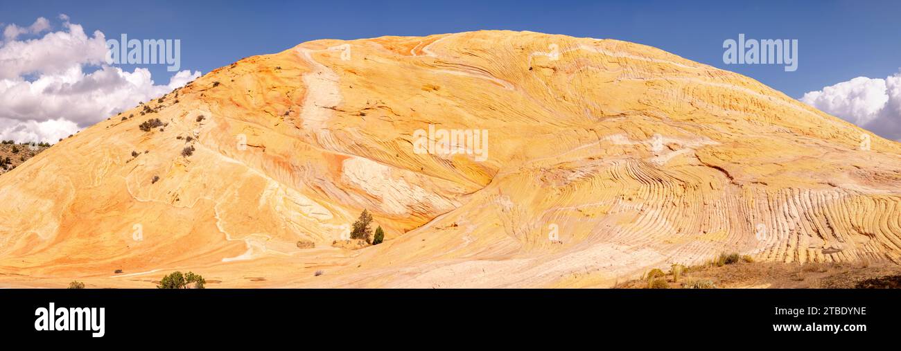 Panoramic photograph of the Yellow Rock area, a sandstone hill that's ...