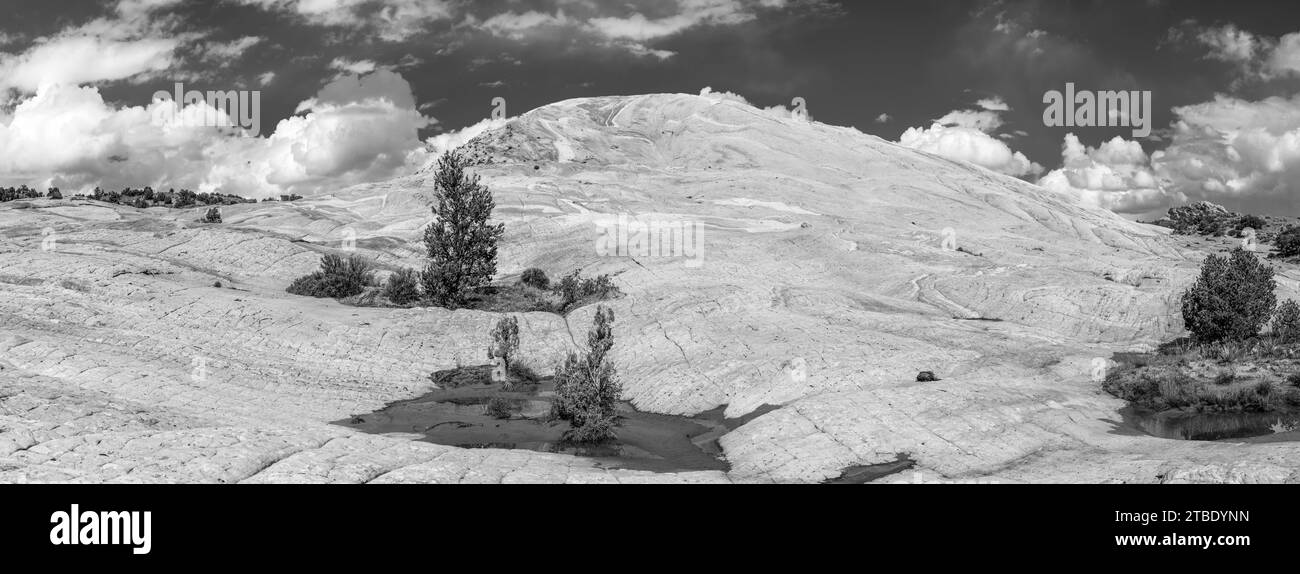 Panoramic photograph of the Yellow Rock area, a sandstone hill that's ...