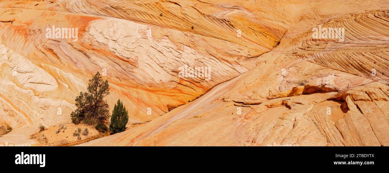 Panoramic photograph of the Yellow Rock area, a sandstone hill that's ...