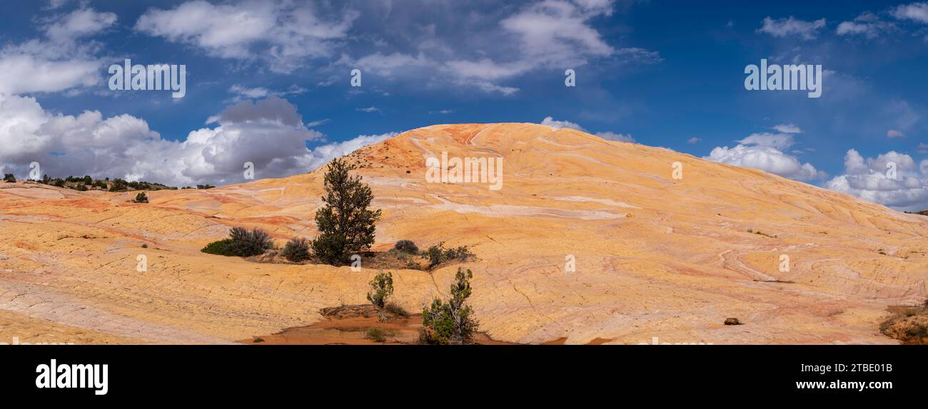 Panoramic photograph of the Yellow Rock area, a sandstone hill that's ...