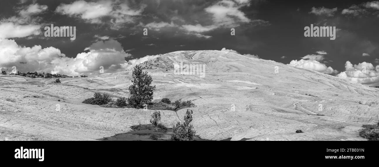 Panoramic photograph of the Yellow Rock area, a sandstone hill that's ...