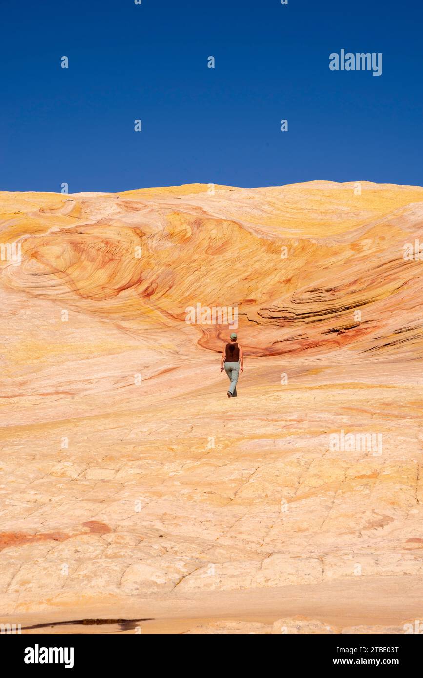 Photograph of the Yellow Rock area, a sandstone hill that's mostly ...