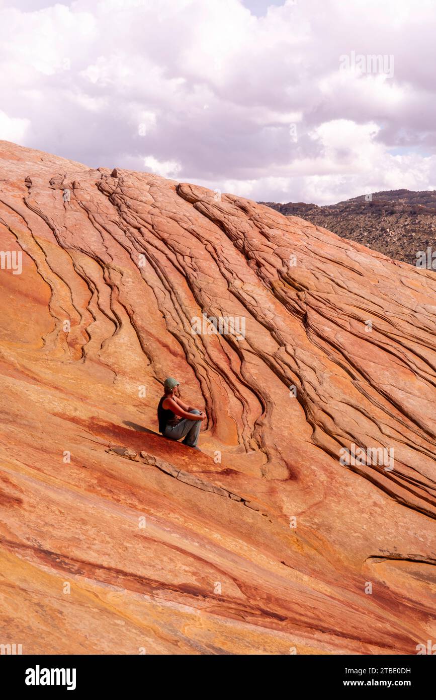Photograph of the Yellow Rock area, a sandstone hill that's mostly ...