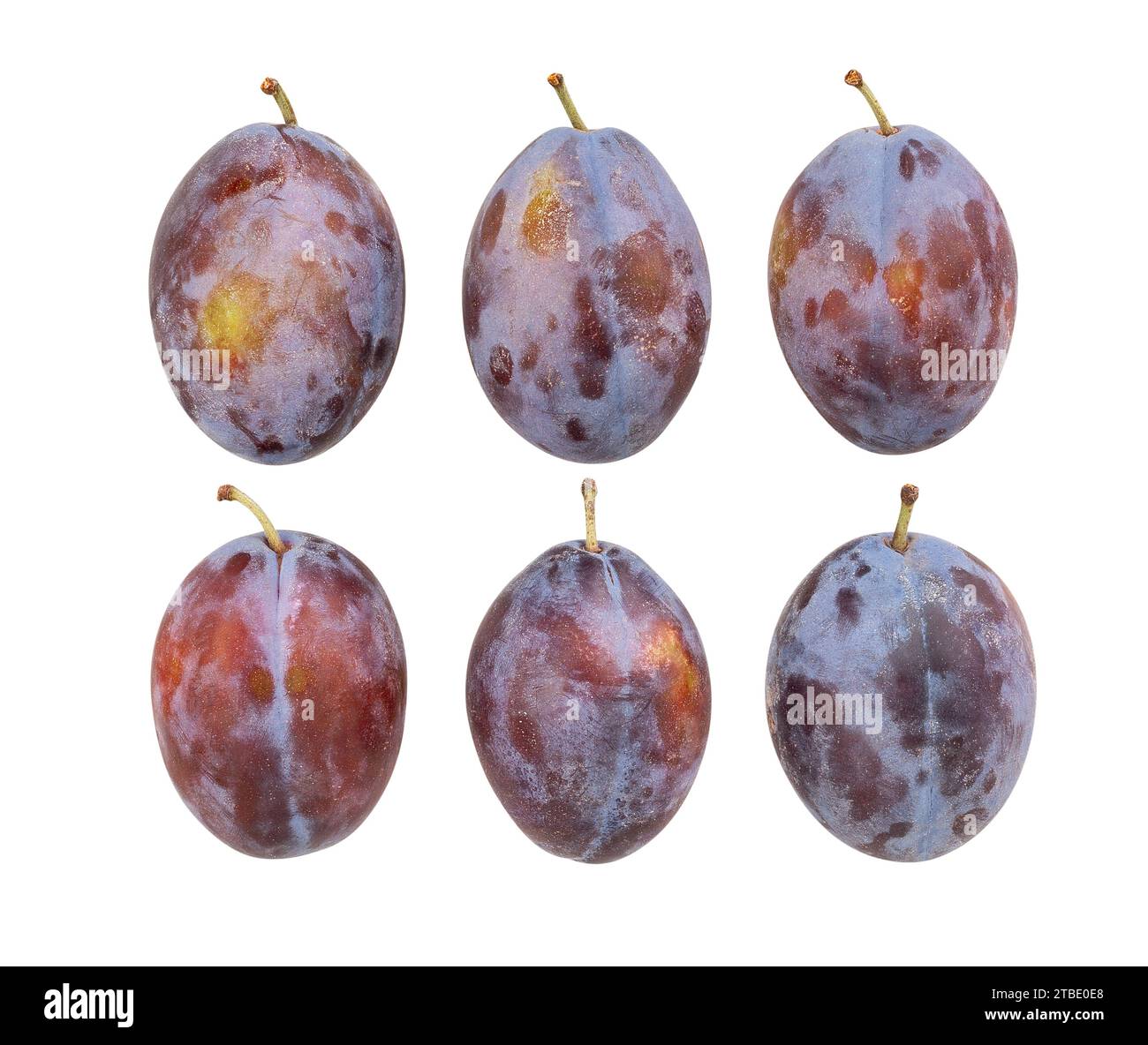plum path isolated on white Stock Photo - Alamy