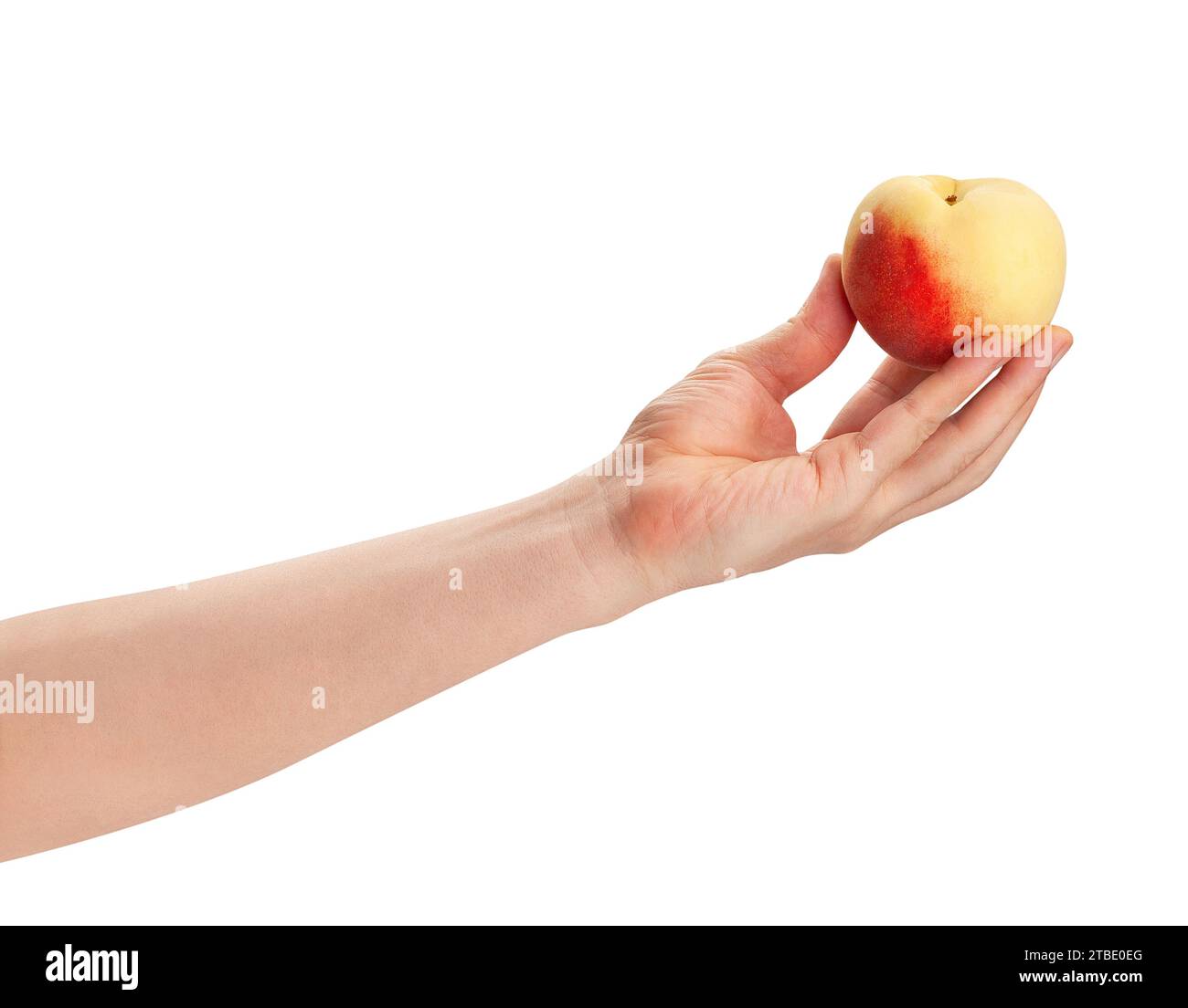 white peach in hand path isolated on white Stock Photo - Alamy