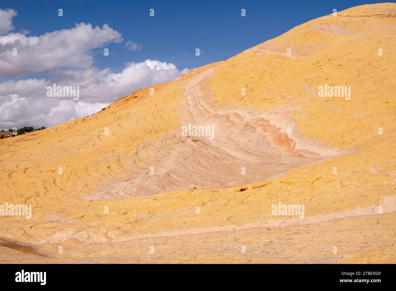 Photograph of the Yellow Rock area, a sandstone hill that's mostly ...