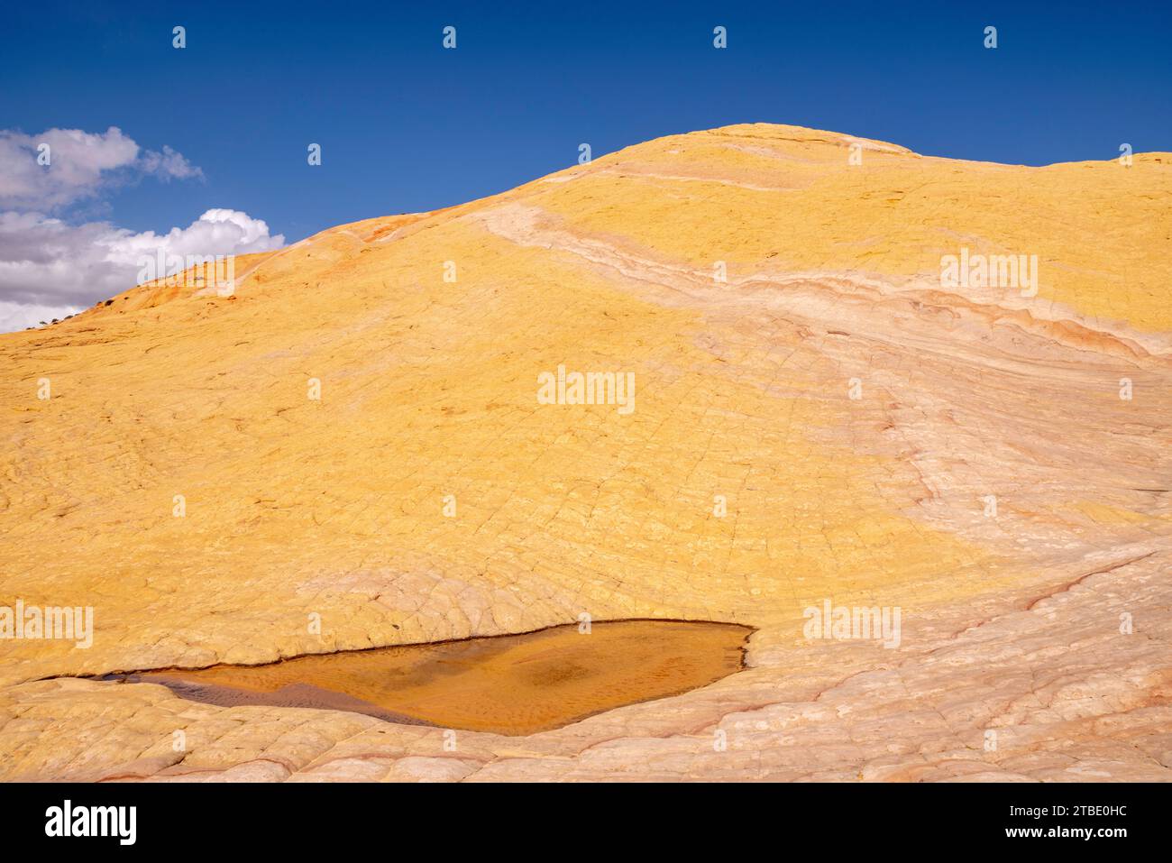 Photograph of the Yellow Rock area, a sandstone hill that's mostly ...