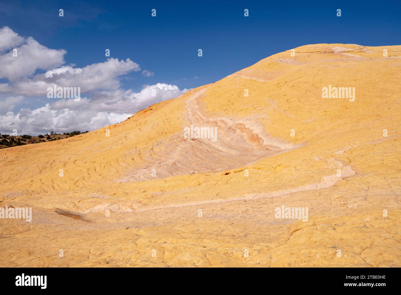 Photograph of the Yellow Rock area, a sandstone hill that's mostly ...