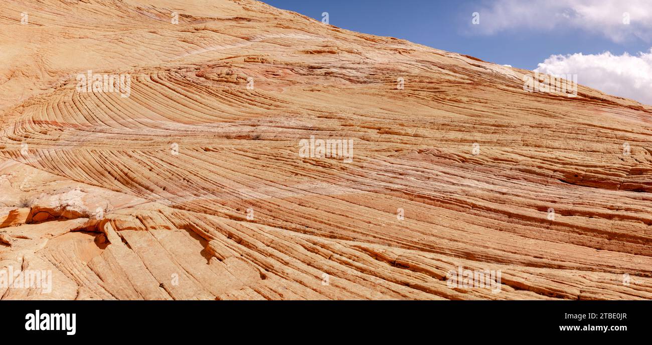 Panoramic photograph of the Yellow Rock area, a sandstone hill that's ...