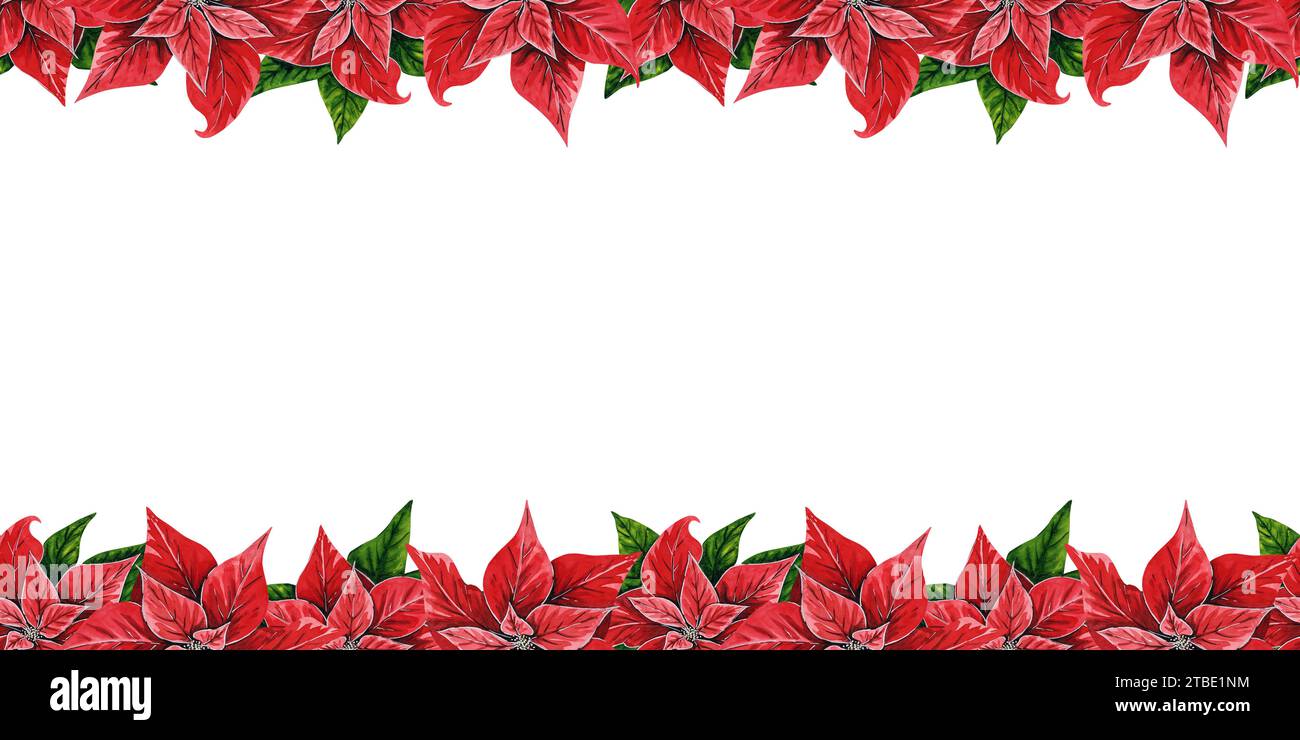 Christmas seamless border with poinsettia flowers, hand painted ...