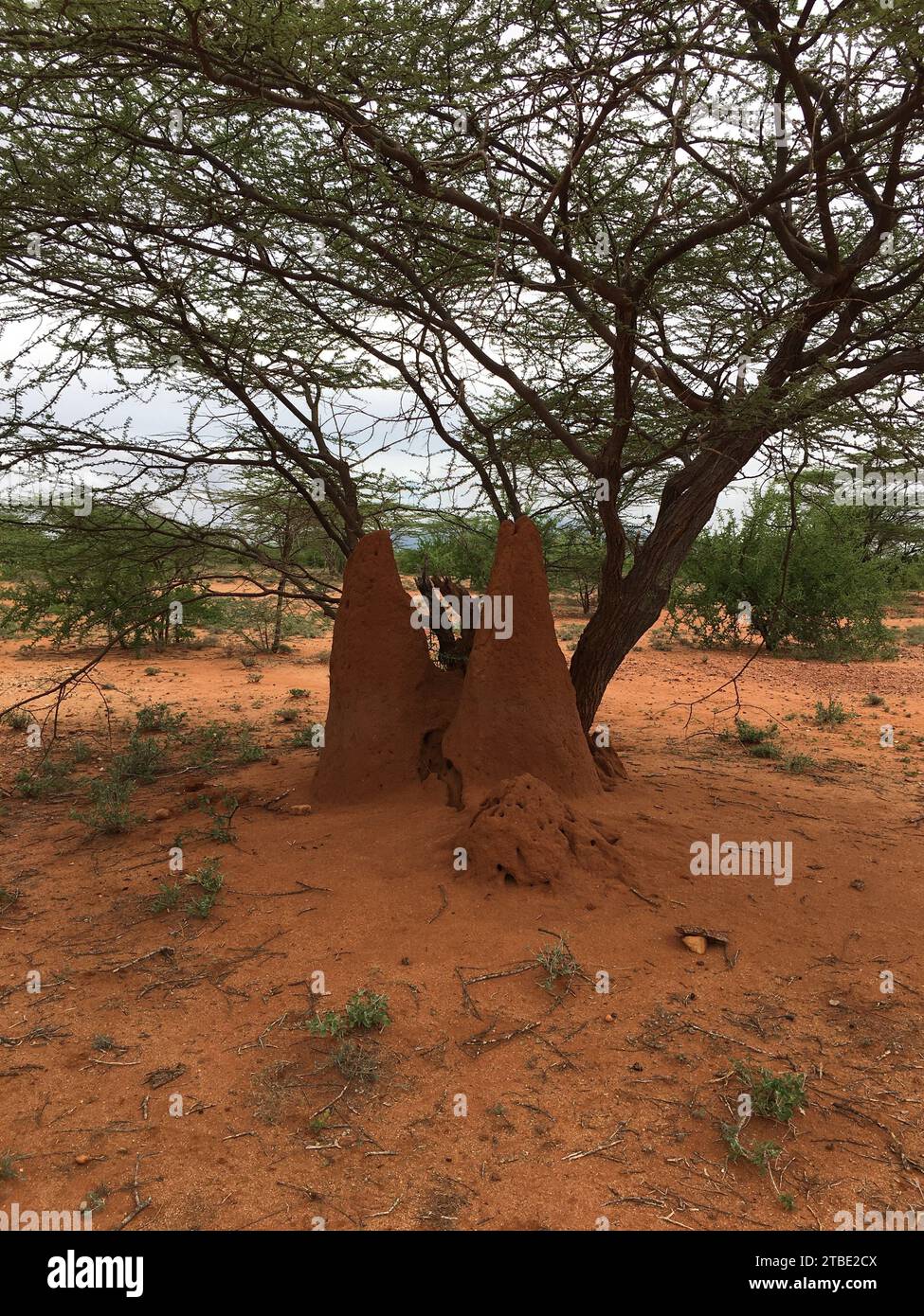 An outdoor landscape featuring a barren area of earth and sand, with a ...