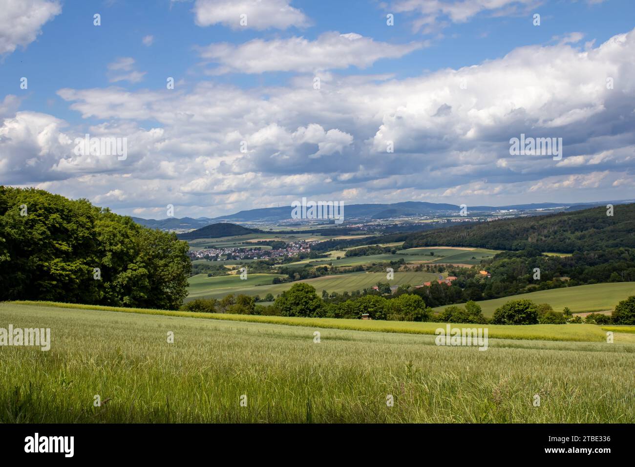 A breathtaking landscape featuring a scenic open plain surrounded by ...
