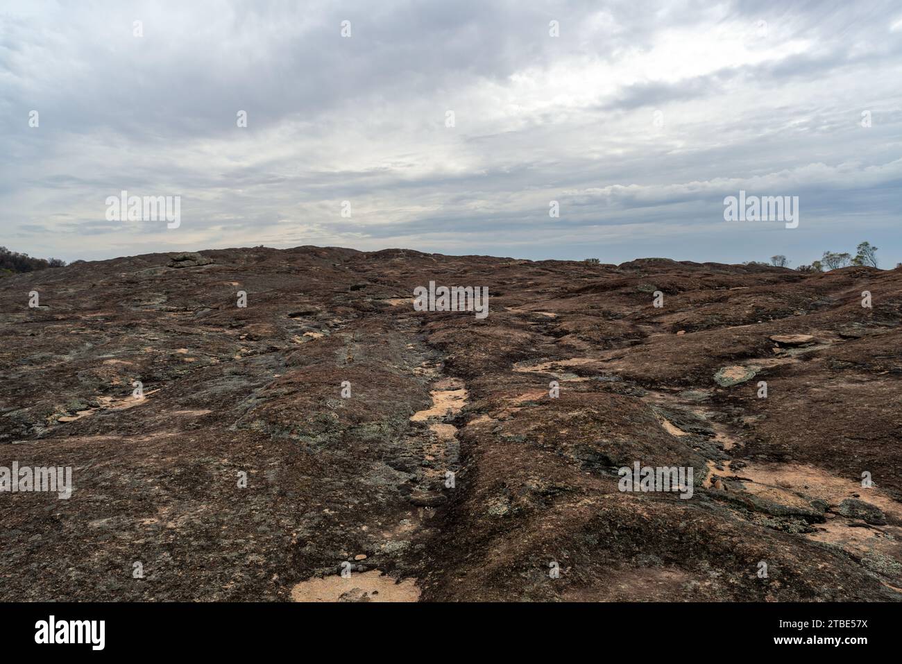 4wd off road hi-res stock photography and images - Alamy