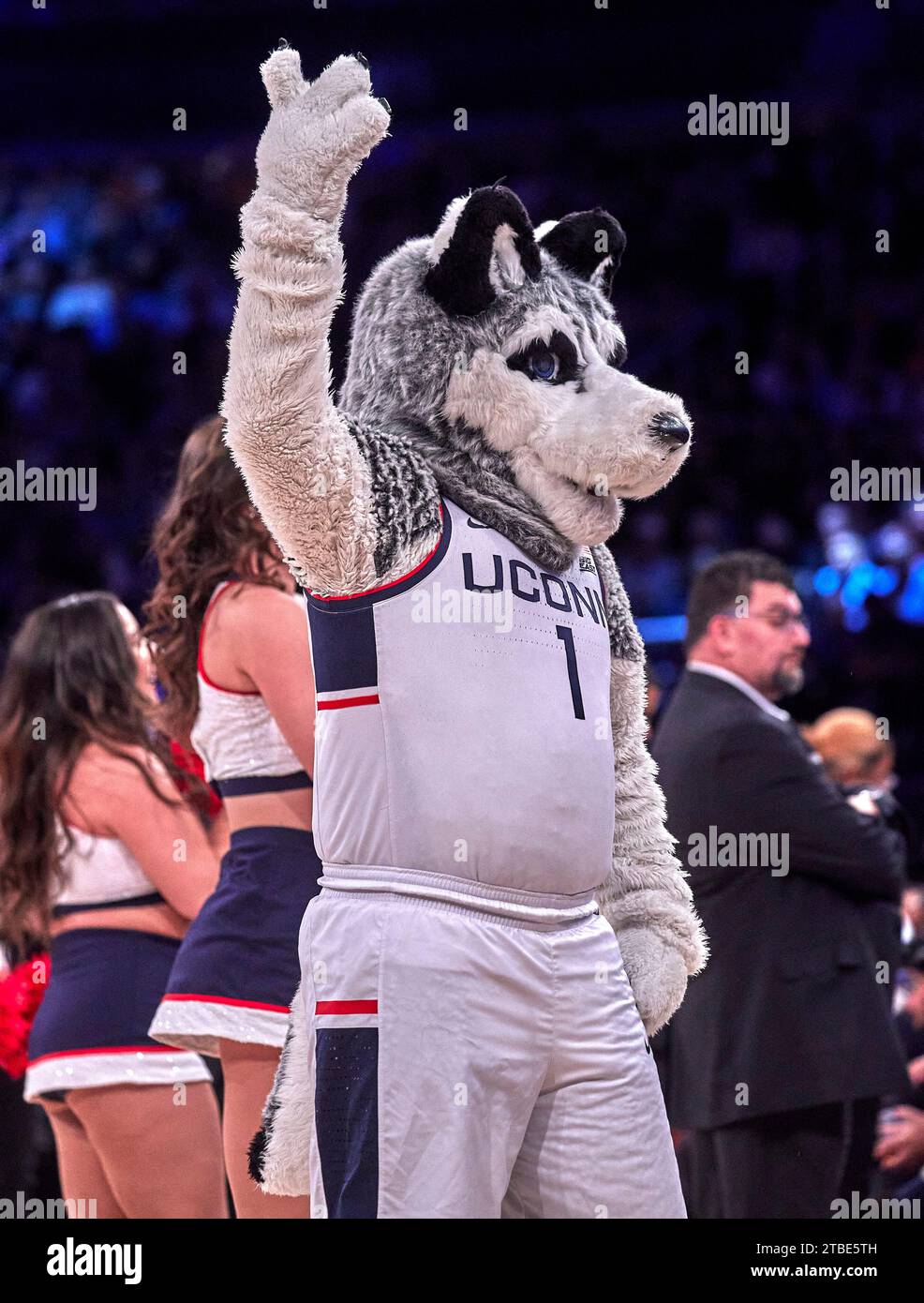 Connecticut Huskies mascot during the Jimmy V Classic against the North ...