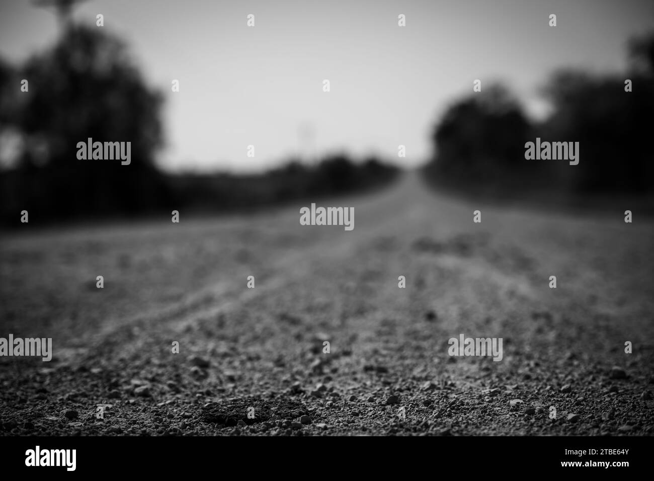 tire tracks left in the dust and rock of a gravel road Stock Photo - Alamy
