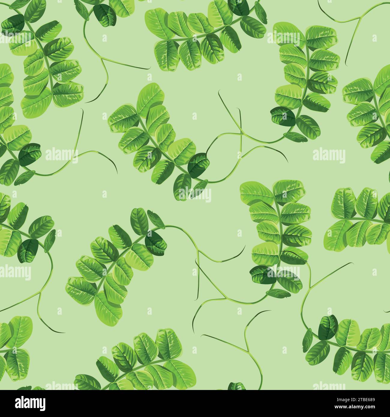 Plant background tendrils Stock Vector Images - Alamy