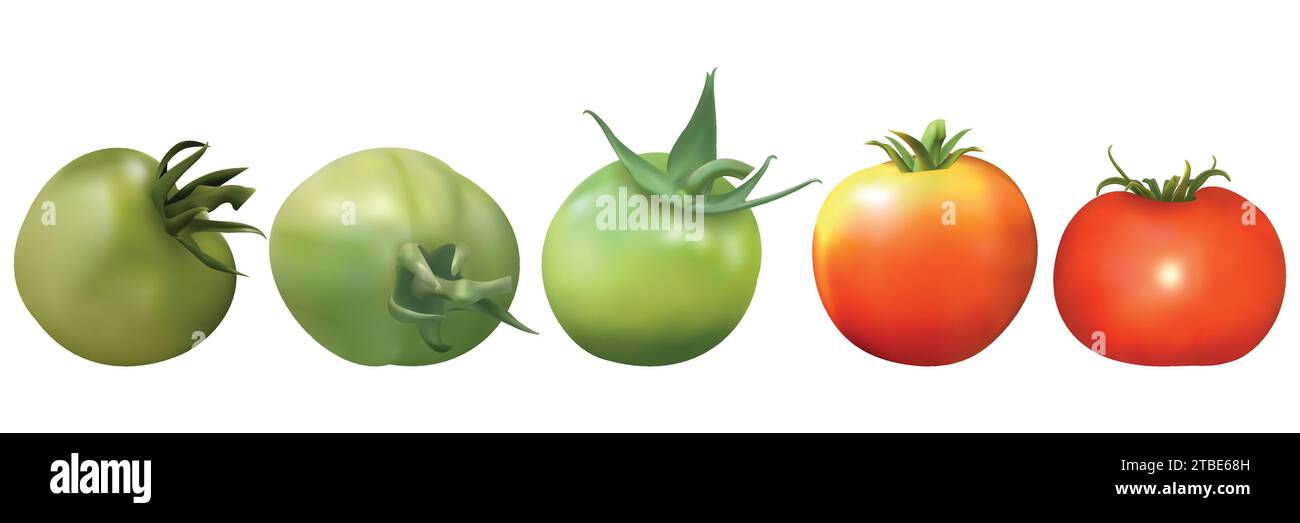 Plant label garden bed Cut Out Stock Images & Pictures - Alamy