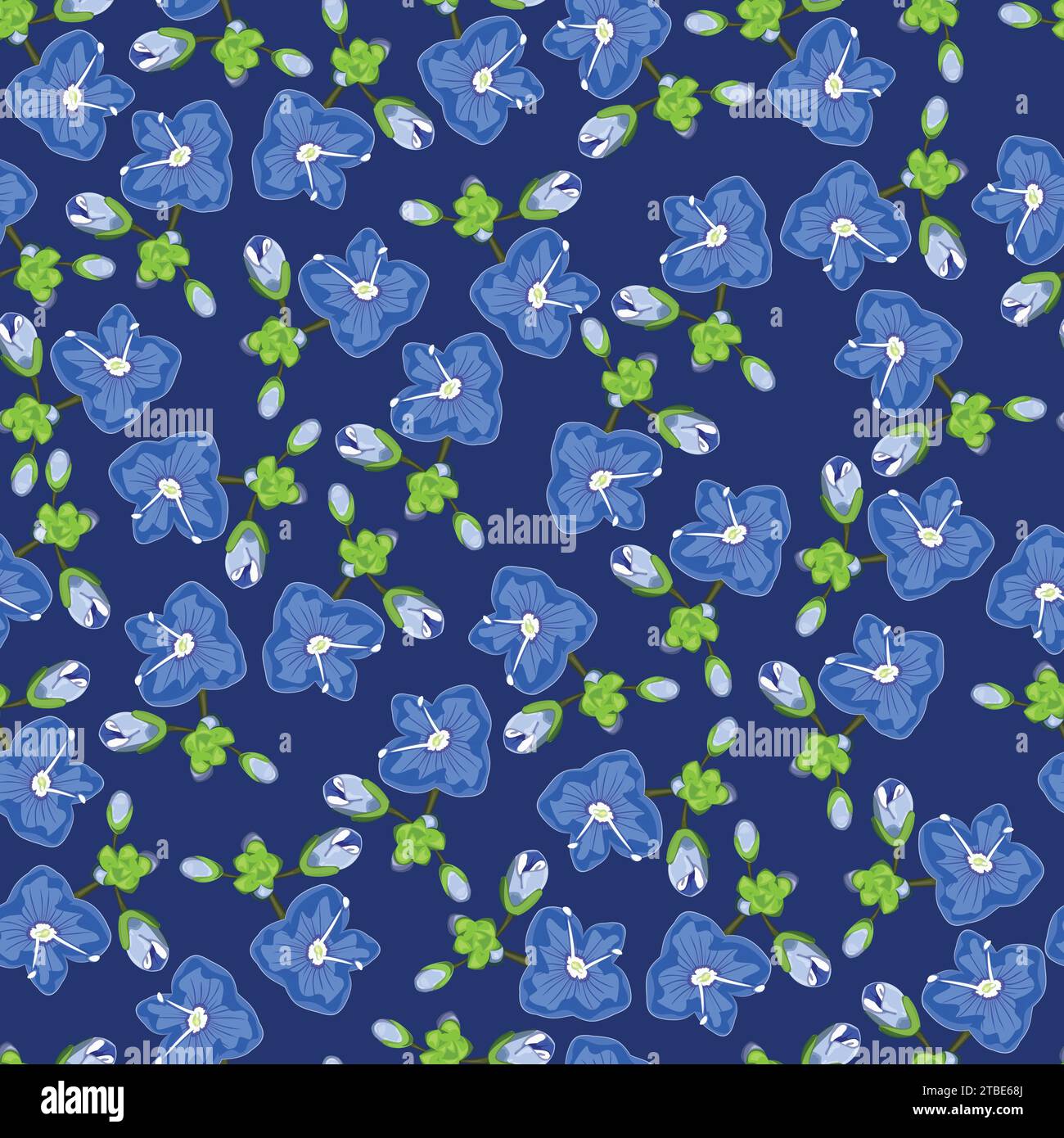 Background of flowering forget me nots Stock Vector Images - Alamy