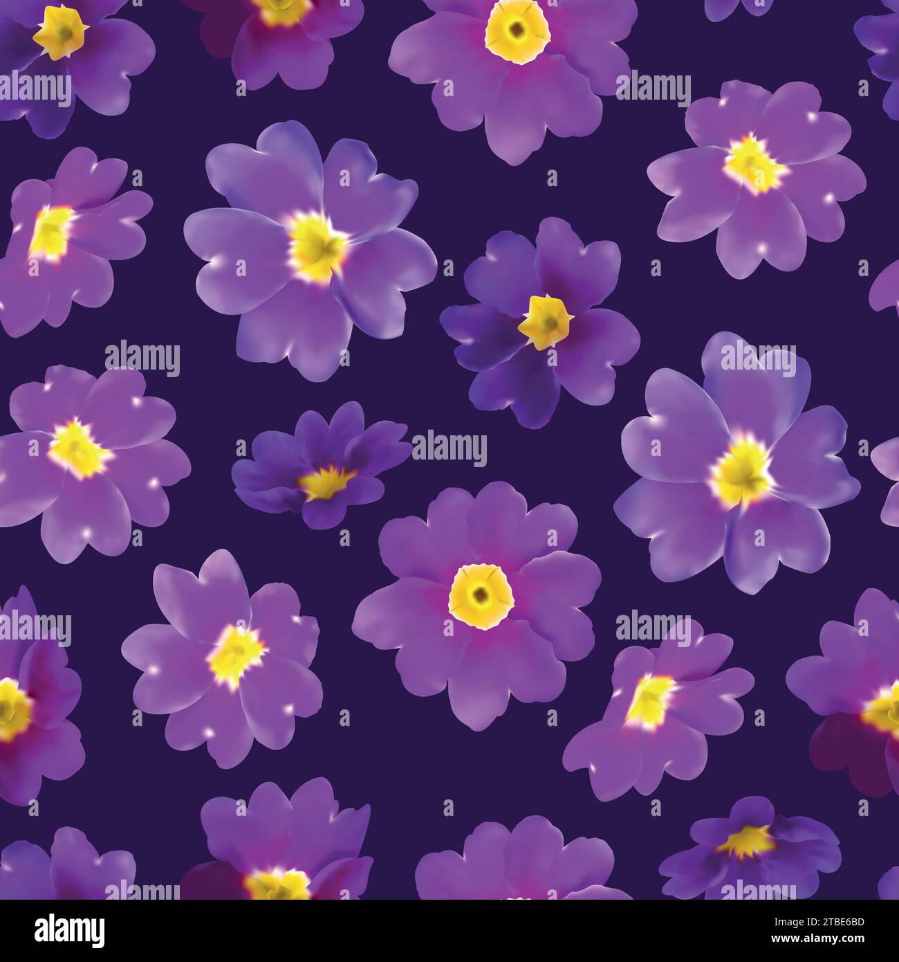 Spring primrose flowers Stock Vector Images - Alamy