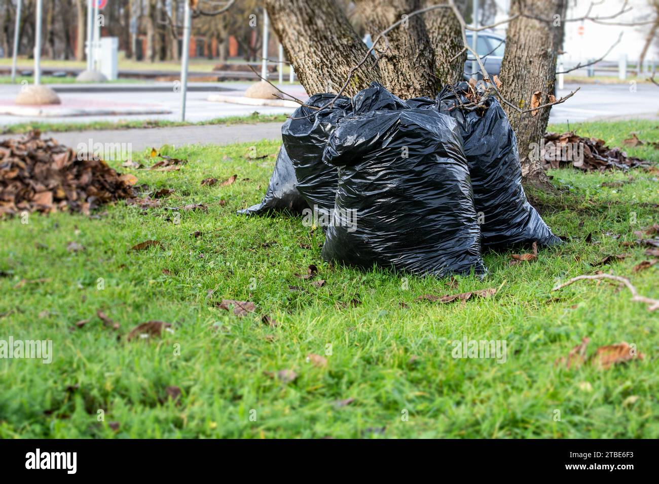 Trash bag ,black plastic garbage bags. Clean up the city park in the ...