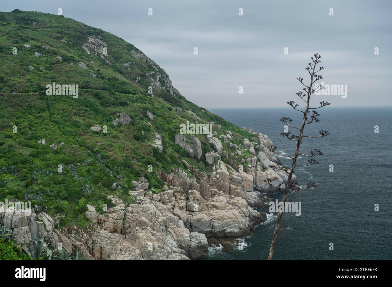This image features an expansive landscape showcasing a rocky cliff ...