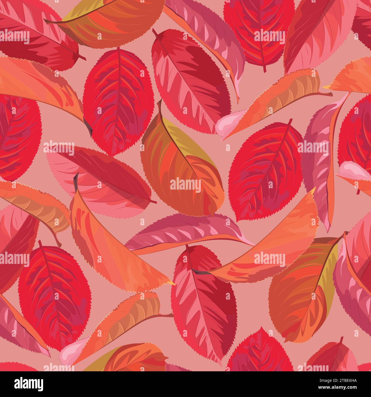 Autumn leaves on pink Stock Vector Images - Alamy